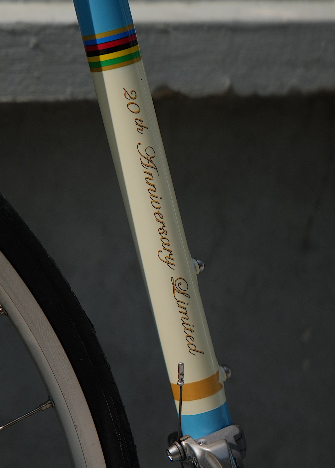 Challenger Transition 20TH Aniversary Vintage Road Bike